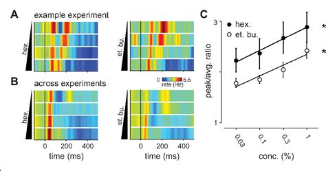 Figure 3 From Complementary Codes For Odor Identity And Intensity In Olfactory Cortex Semantic