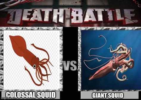Colossal Squid Vs Giant Squid By Jakethegod On Deviantart