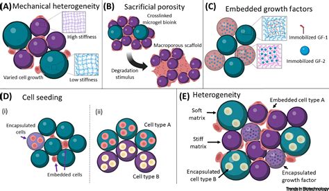 Emerging Granular Hydrogel Bioinks To Improve Biological Function In Bioprinted Constructs