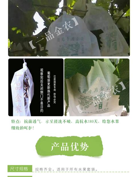 侧开门葡萄套袋精品看得见包装袋莲雾套袋葡萄全木浆袋防虫防鸟袋 枇杷套袋 芒果套袋 葡萄套袋 山东莱阳一品金农水果套袋加工厂