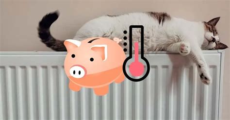 At What Temperature Do I Put The Heating This Winter To Save On The Bill Itigic