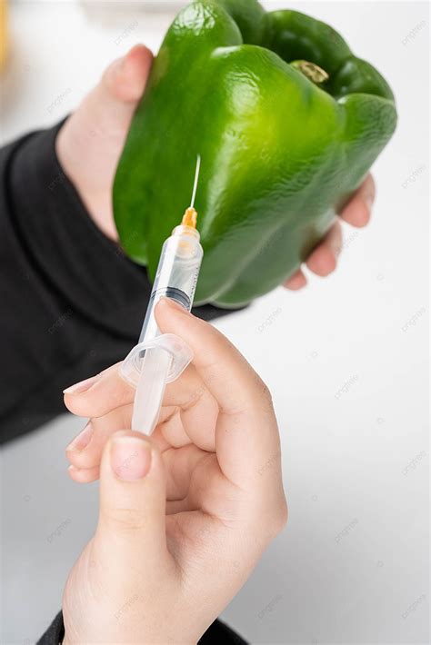 유전자 변형 과일 및 채소 사진 배경 배경 화면 및 일러스트 무료 다운로드 Pngtree