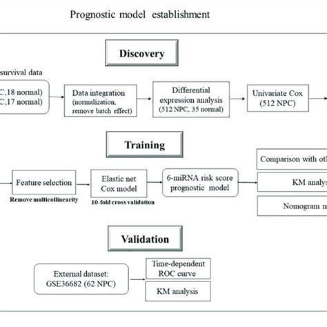Flowchart Of Data Collection And Analysis Download Scientific Diagram