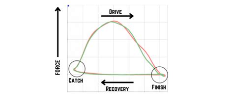 Rowing Force Vectors Distribution Of The Differences In Power Vectors