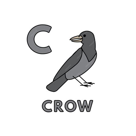 Premium Vector Vector Cute Cartoon Animals Alphabet Crow Illustration