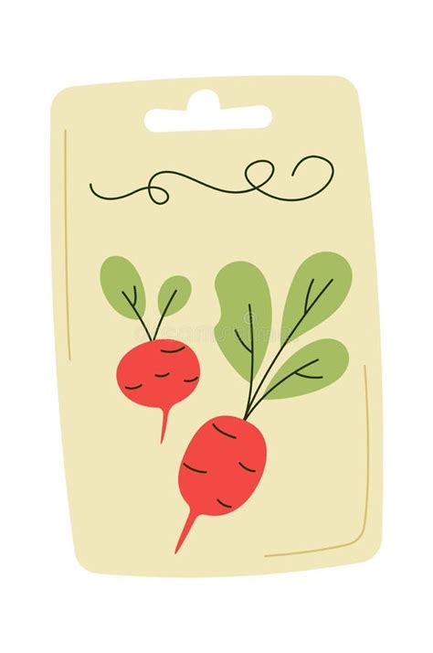 Beetroot Seeds In Plastic Package Flat Icon Healthy Vegetable Stock Vector Illustration Of