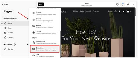 How To Make A Drop Down Menu In Squarespace 2025 Guide