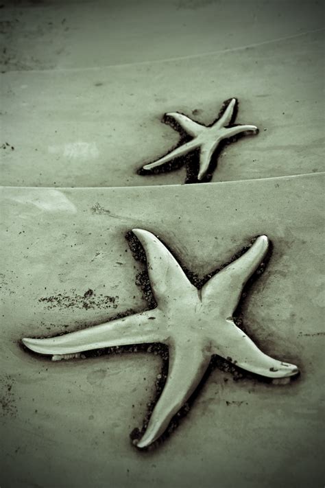 The Silicon Tribesman • Shell Sculpture Cleveleys Flyde Coast 13615