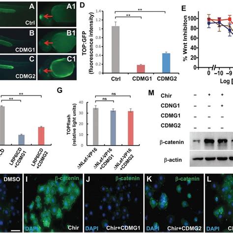 Pseudocode Of The Dbscan Algorithm Download Scientific Diagram