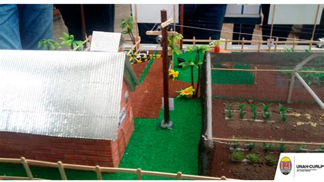 Presentación De Maquetas Sobre Procesos Del Área Agroindustrial