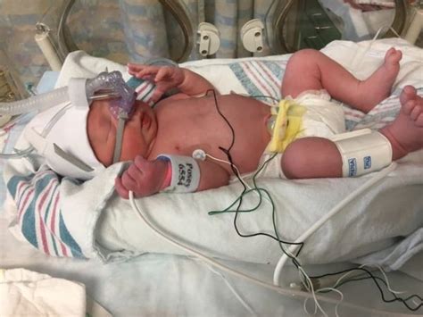 Nrp Certification Classes Safety Training Seminars