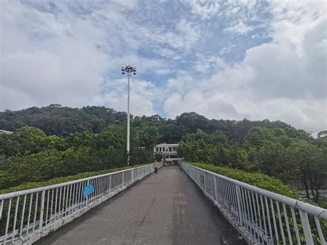 牛顿迭代法提升收敛效率 知乎