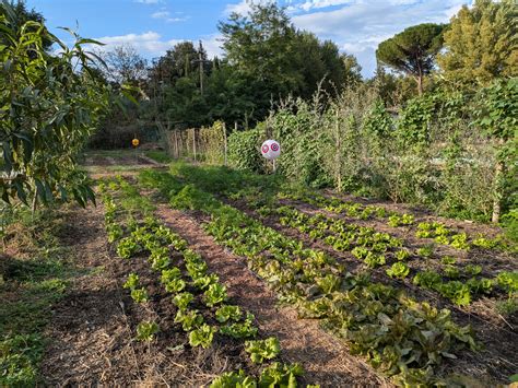 The Devon School Of English Lots Of Agatha Christie Stories Are Set