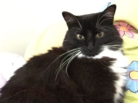 Trending Stories Published On Teste Montando Um Blog Medium