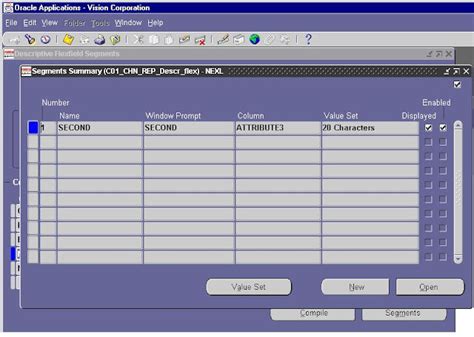 Rafiuddin Oracle Ebs Techo Functional Descriptive Flex Fields In