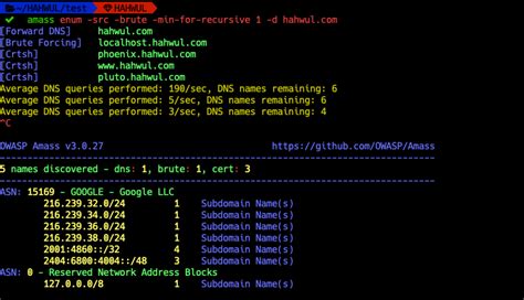 Owasp Amass Dns Enum Network Mapping Hahwul