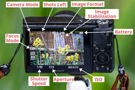 How To Use A Point And Shoot Camera A Detailed Guide To Compact Camera Photography