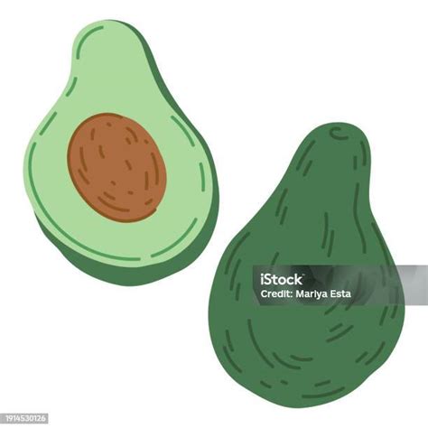 손으로 그린 아보카도 만화 신선한 원시 맛있는 아보카도 과일 전체 과일 및 절반 유기 아보카도 흰색 배경에 평면 벡터 그림 개체 그룹에 대한 스톡 벡터 아트 및 기타 이미지