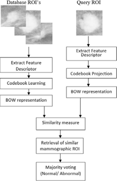 Figure 1 From Retrieval Driven Classification For Mammographic Masses Semantic Scholar