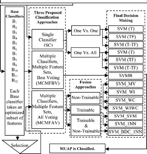 Figure 1 From A Multi Classifier Approach To Muap Classification For Diagnosis Of Neuromuscular