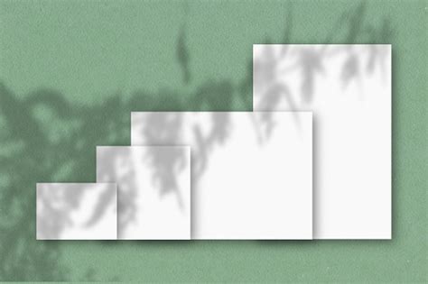 녹색 벽에 흰색 질감 종이의 여러 수평 및 수직 시트 식물 그림자와 모형 오버레이 자연광이 필드 식물과 꽃의 꼭대기에서 그림자를 투사합니다 0명에 대한 스톡 벡터 아트 및