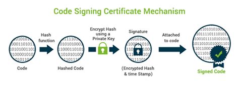 Ssl Certificates Vs Code Signing Certificates • Colibri Digital Marketing