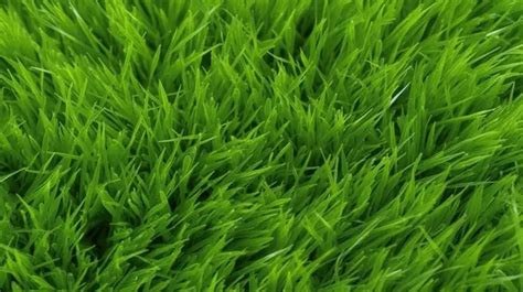 Background Of Vibrant Lush Green Grass Texture Grass Pattern Grass Texture Green Grass