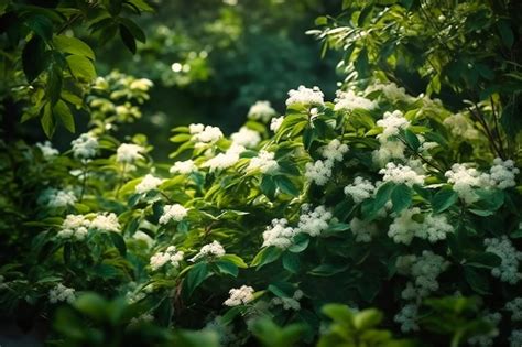 Premium Photo A Lush Forest Canopy With Deep Green Leaves And