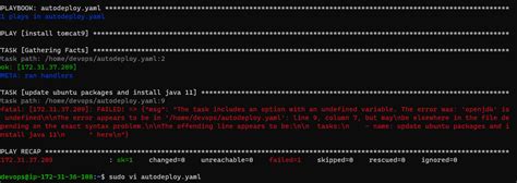 Ansible Playbook Error With Spaces In Name Ending With A Number · Issue