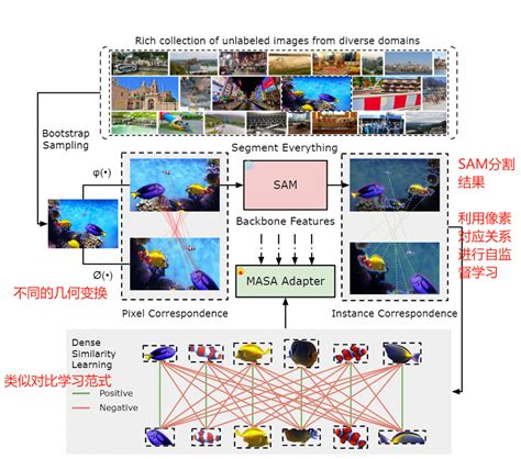 [论文阅读笔记33] matching anything by segmenting anything cvpr2024 highlight