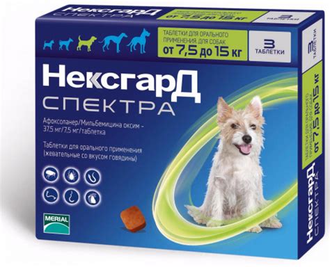 Нексгард Спектра для собак: инструкция по применению, цена, отзывы