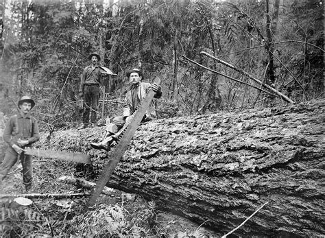 Best Images About Old Time Logging On Pinterest Logging Equipment Trucks And Oregon