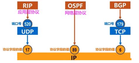四、网络层（二）路由算法与路由选择协议 洪泛法路由算法 csdn博客