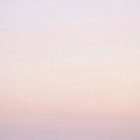 12 String Harp MYmusic