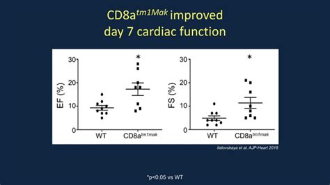 Using Ekg To Confirm Mi In Mouse Model Of Permanent Lad Occlusion Pptx