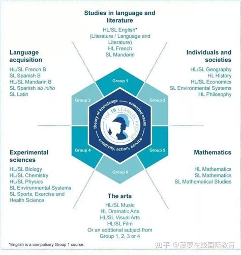 Ib课程和alevel哪个难 知乎