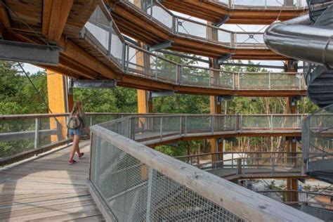 12 Things To Know About Visiting The Malahat Skywalk Vancouver Island