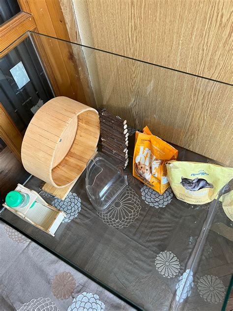 ზაზუნამოყვარულთა კლუბი იყიდება ზაზუნას აკვარიუმი 60 40 40 დროებით საცხოვრრბლათ სან Facebook