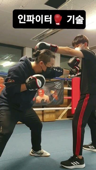 복서 키큰사람을 상대하는 법 복싱 인파이터 복싱기술 복싱배우기 김간장 권투 복싱미트 기장복싱 부산복싱 글러브 Boxing Ringsidekorea