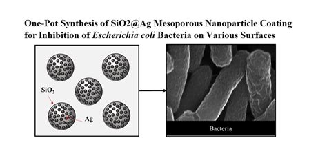 Nanomaterials Free Full Text One Pot Synthesis Of Sio2 Ag