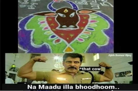 “நம்ம மூஞ்சியா இது மாடுகளுக்கே கோபம் வரவைக்கும் கோலங்கள் வைரலாகும் மாட்டு பொங்கல் மீம்ஸ்