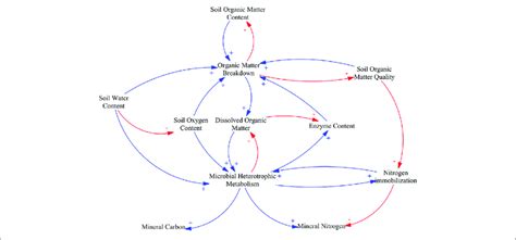 Causal Loop Diagram Of The Main Effects Of Water Table Management In Download Scientific
