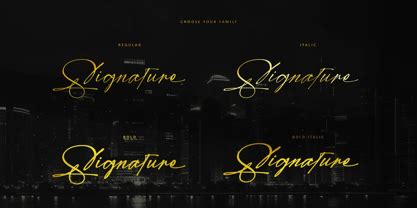 Modern Signature Font Webfont Desktop MyFonts