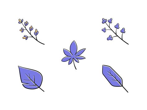 Hand Drawn Leaf Illustration Collection 8484915 Vector Art At Vecteezy