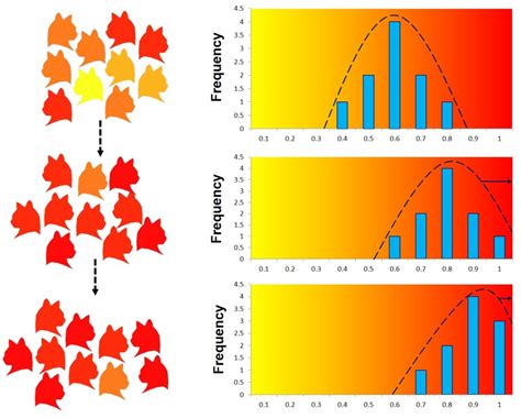 Frequency Dependent Selection The G Cat