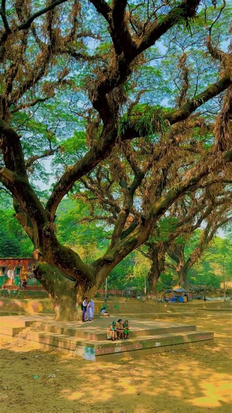 Kazi Md Arman 🚴🏖️ Foryoupagereels Chittagong Instagram