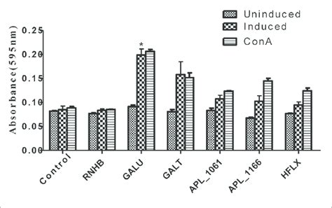 Lymphocyte Proliferation Assay Levels Of Lymphocyte Proliferation Of Download Scientific