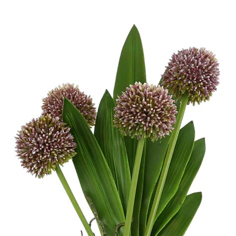 Allium Orchid Leaves In Glass Vase Playtpus Home