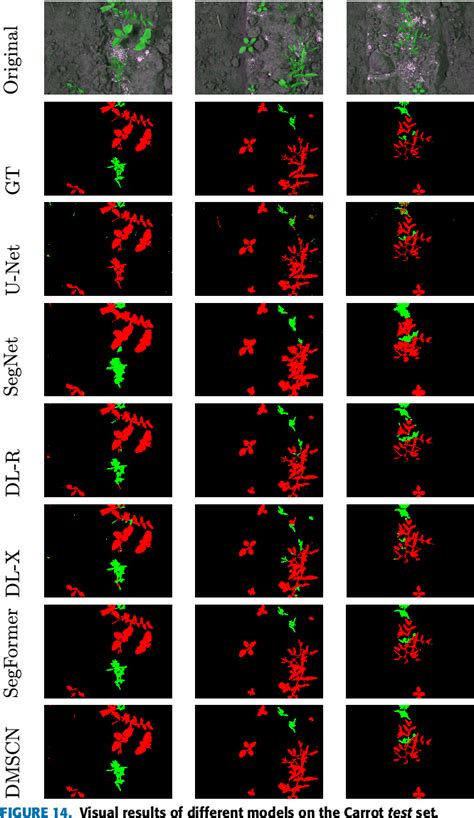 Figure 14 From Dense Multi Scale Convolutional Network For Plant Segmentation Semantic Scholar