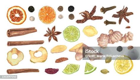 조미료 향신료 및 말린 과일 조각을 혼합하여 흰색에 분리 된 수채화 일러스트를 설정합니다 계피 카르다몬 스타 아니스 정향 후추 건포도 생강 오렌지 라임 레몬 와 사과 클립